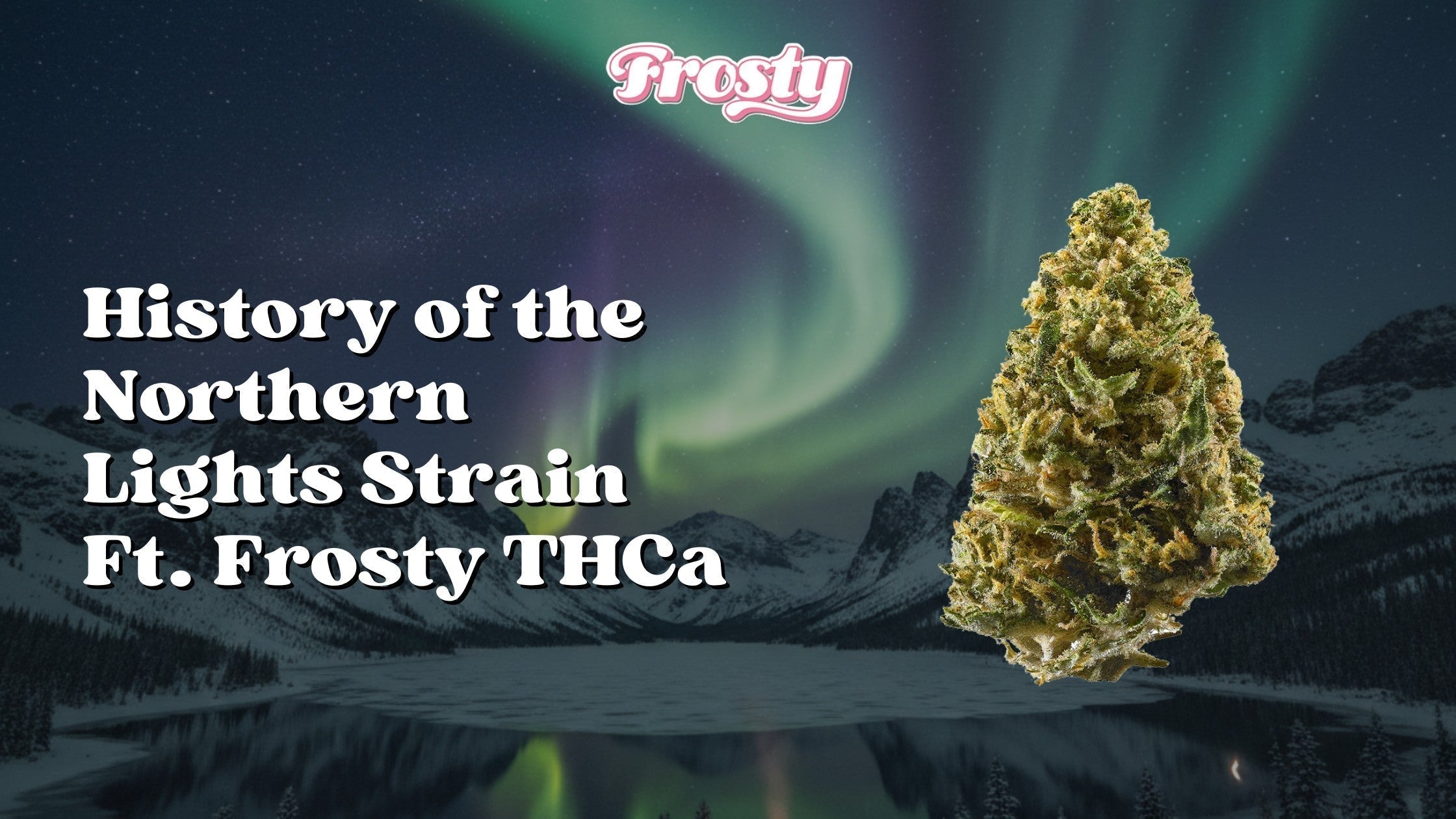 History of the Northern Lights Strain Ft. Frosty THCa – FHC