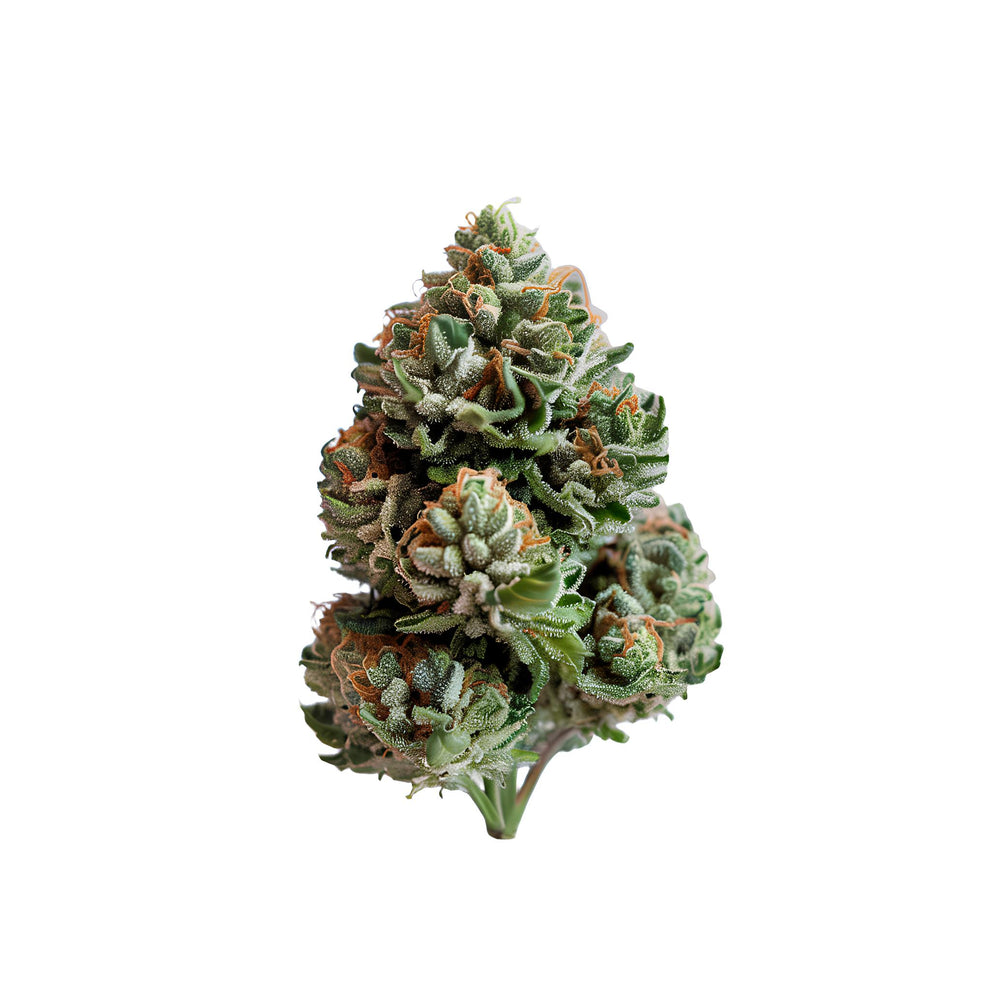 Super Boof - Indica – FHC